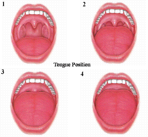 The Queen of Dental Hygiene: Do You Know Your Numbers?
