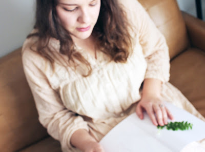 The Art of Kelly Mitchell