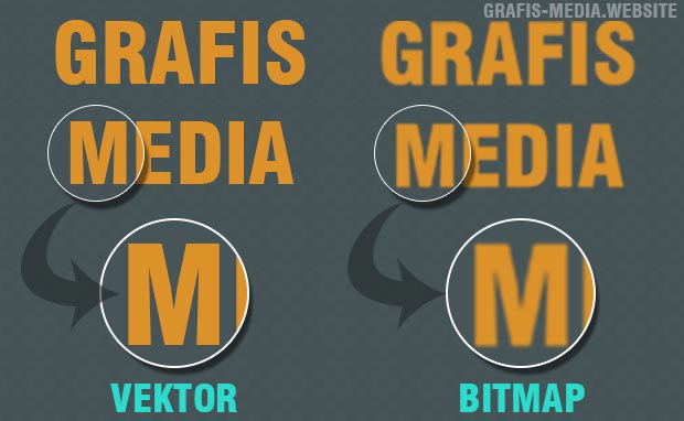 5 Gambar Bitmap Dan Vektor Bunga - playboat