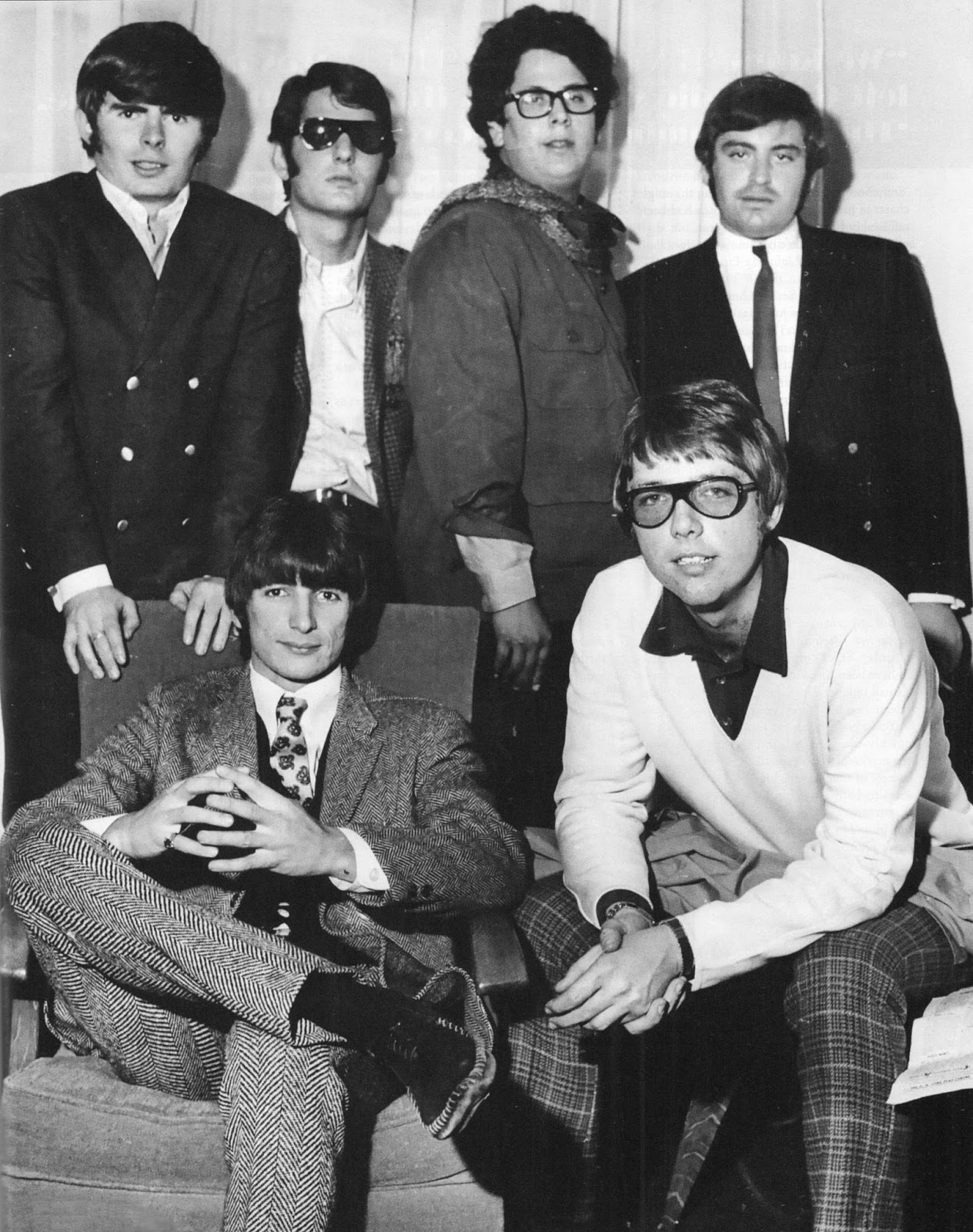 Forestdweller: The Turtles