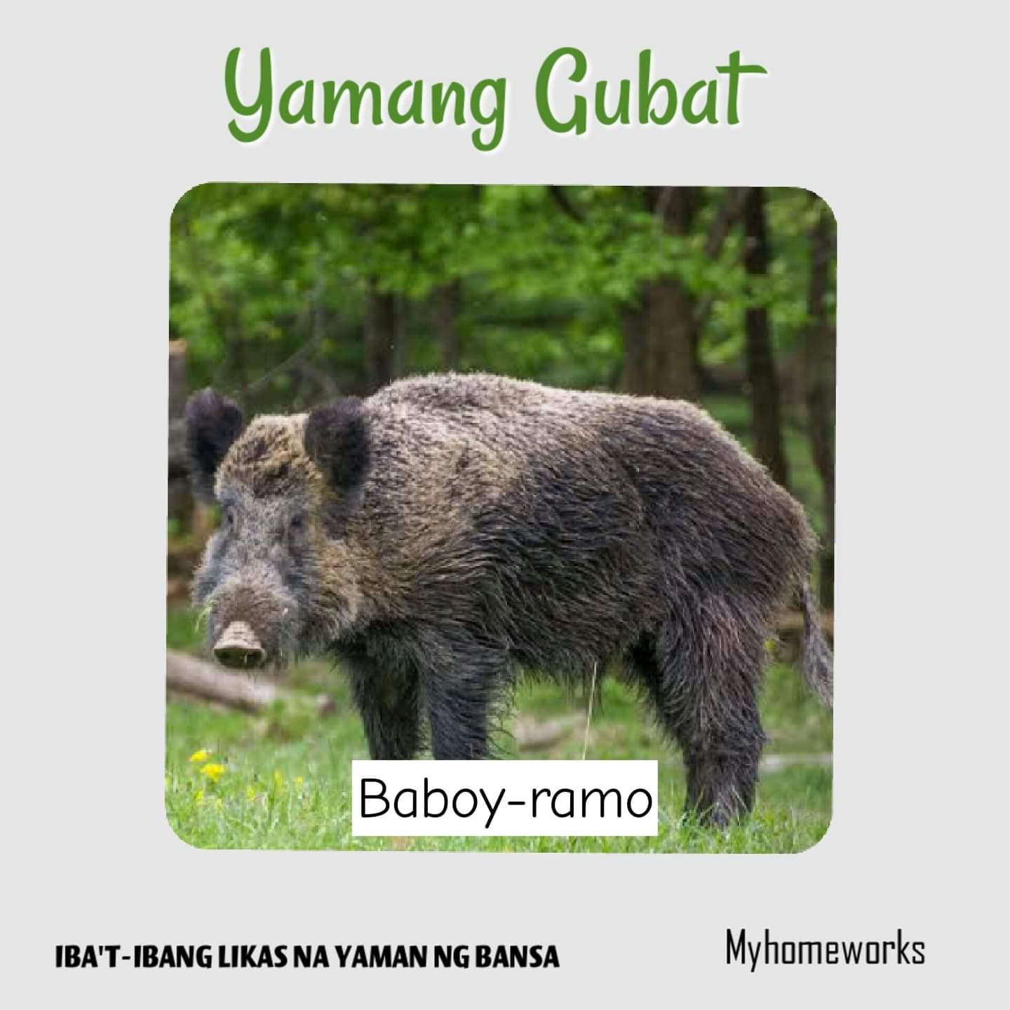 My Homeworks: YAMANG GUBAT