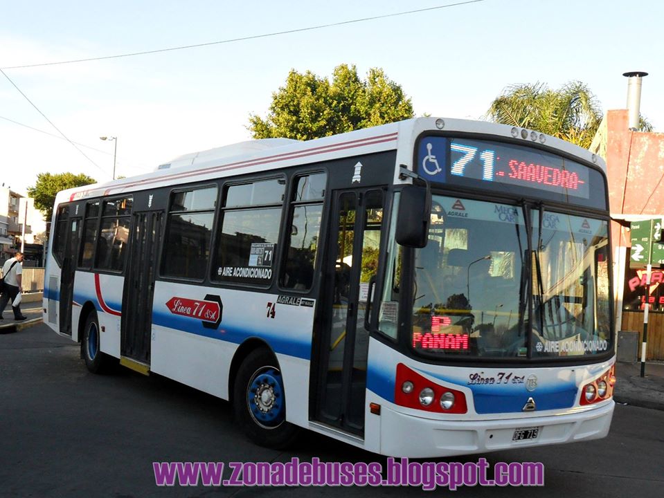 Colectibus - Zona de Buses: LINEA 71