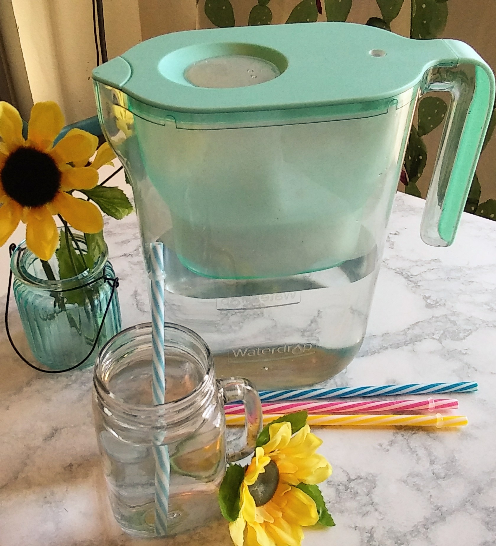 18. Filtered Water Pitcher