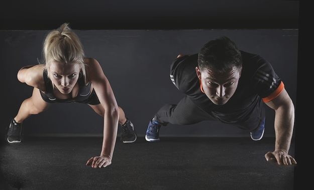 Programme de musculation