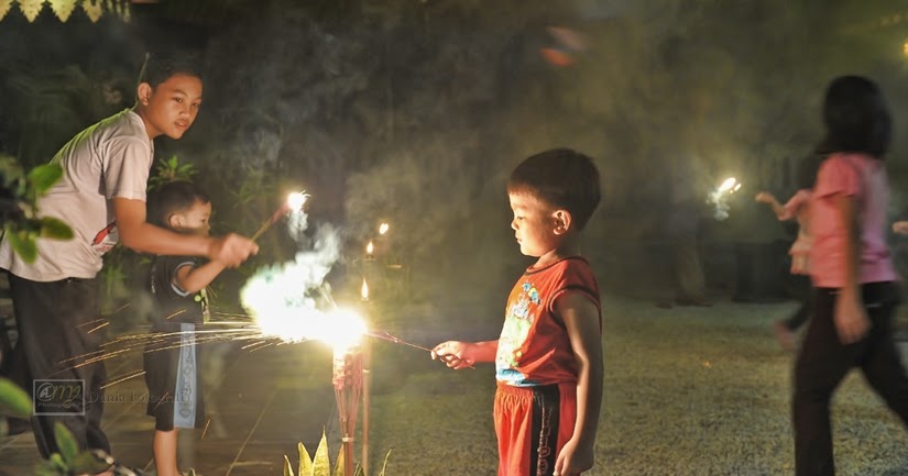 Bunga Api Hari Raya - Bunga Api High Res Stock Images Shutterstock ...