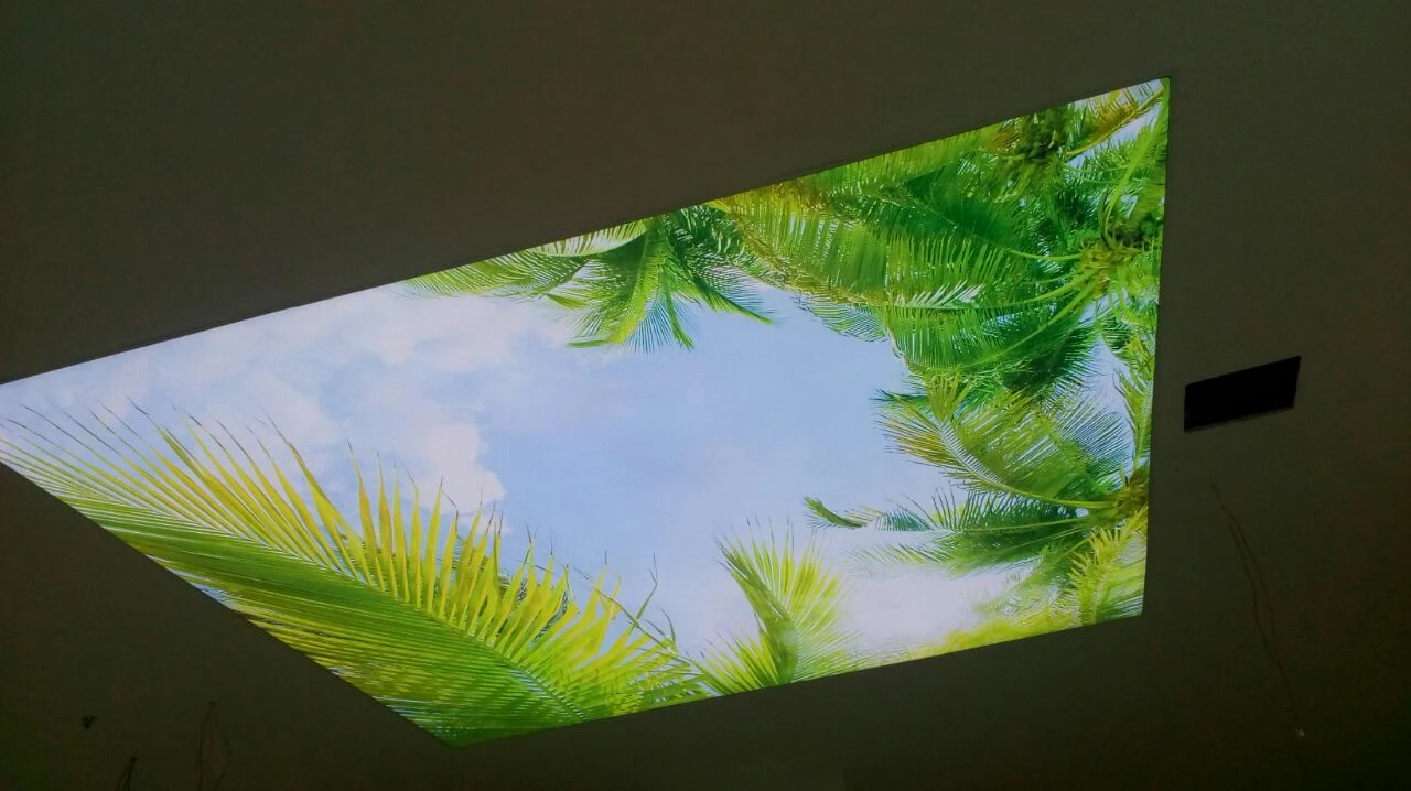 ..Architect-Interior~~: Stretch Ceiling Gallery