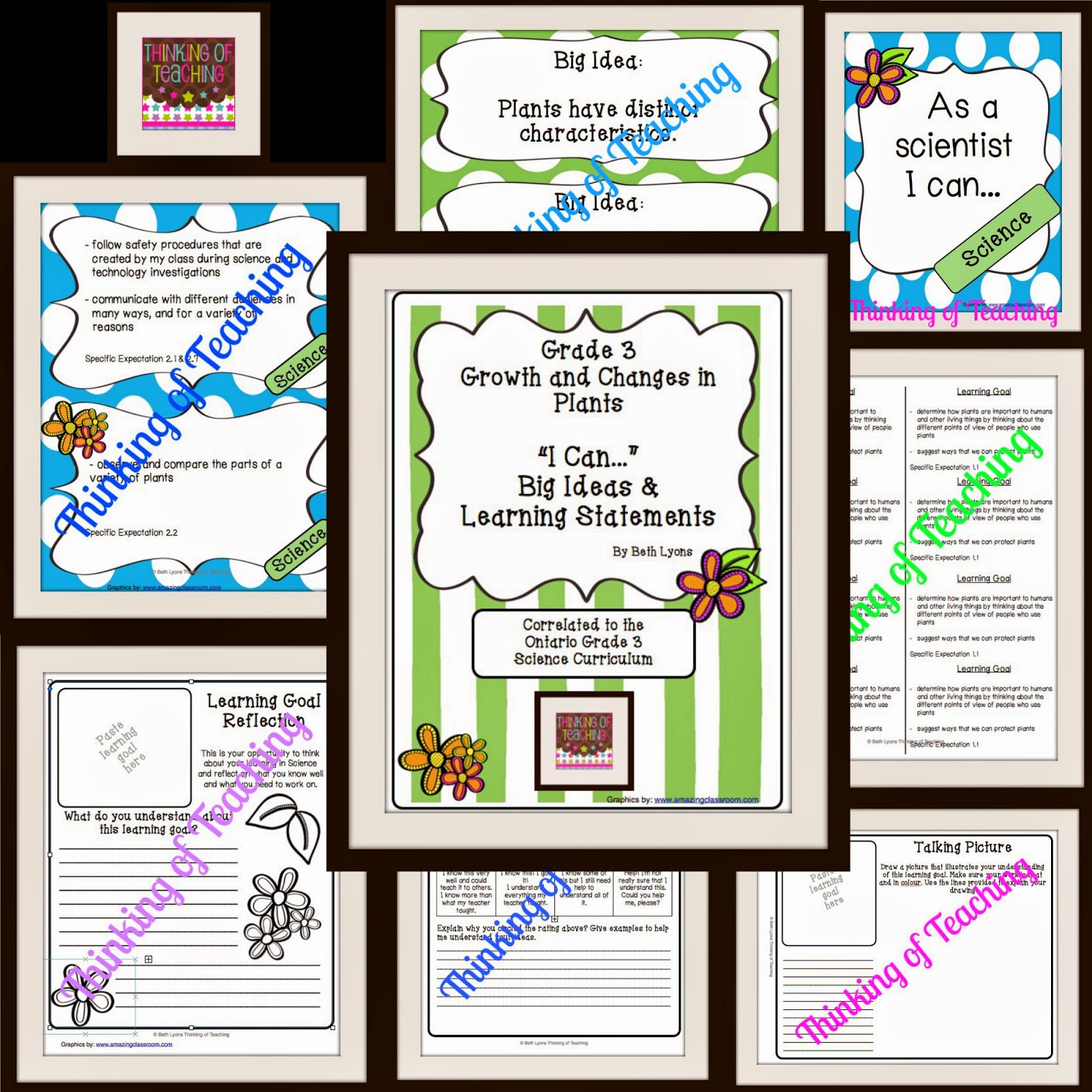 Thinking of Teaching: Growth and Changes in Plants- Learning Goal Cards ...