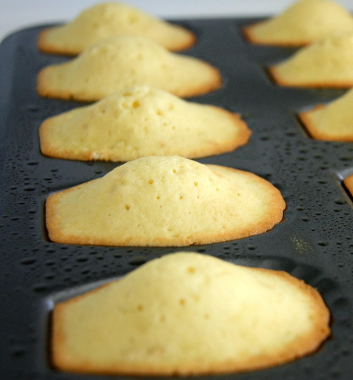 Lavende and Lemonade: French Madeleines - Easy French Pastries!