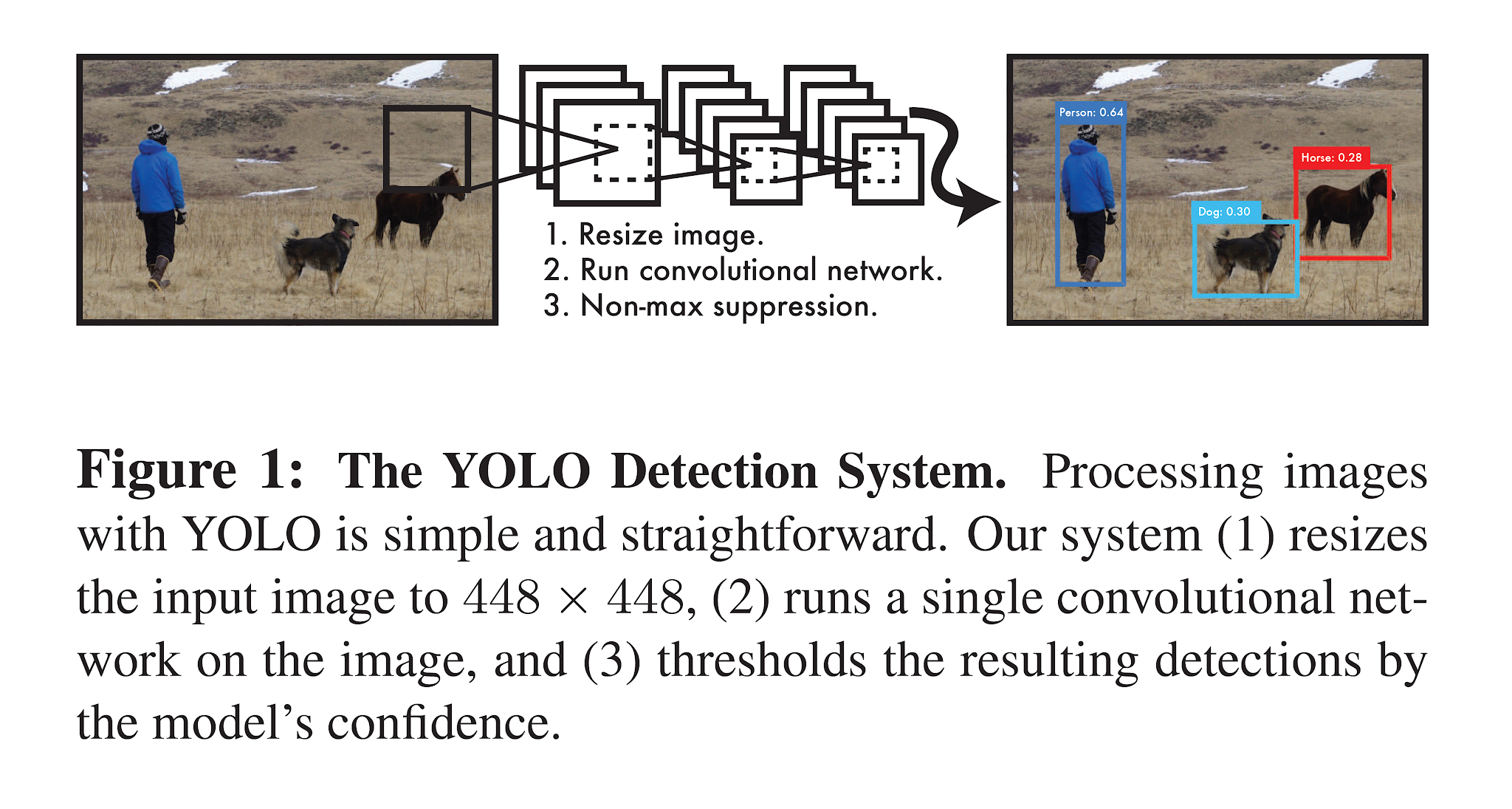 The Star Also Rises: YOLO（三）：Illustrated