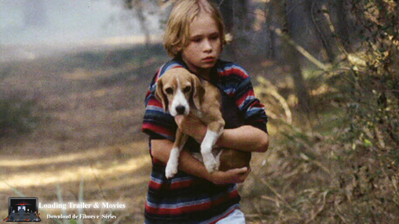 Shiloh O Melhor Amigo - 1996 - Loading Trailer Movies