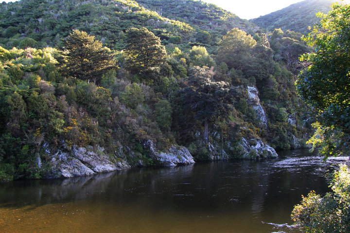 Bros in New Zealand: Upperhutt (Anduin river and Isengard)