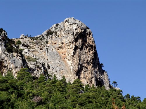 ΙΣΤΟΡΙΚΟ ΚΑΙ ΛΑΟΓΡΑΦΙΚΟ ΑΡΧΕΙΟ ΣΤΕΝΗΣ: ΚΑΛΩΣ ΗΡΘΑΤΕ ΣΤΗ ΣΤΕΝΗ