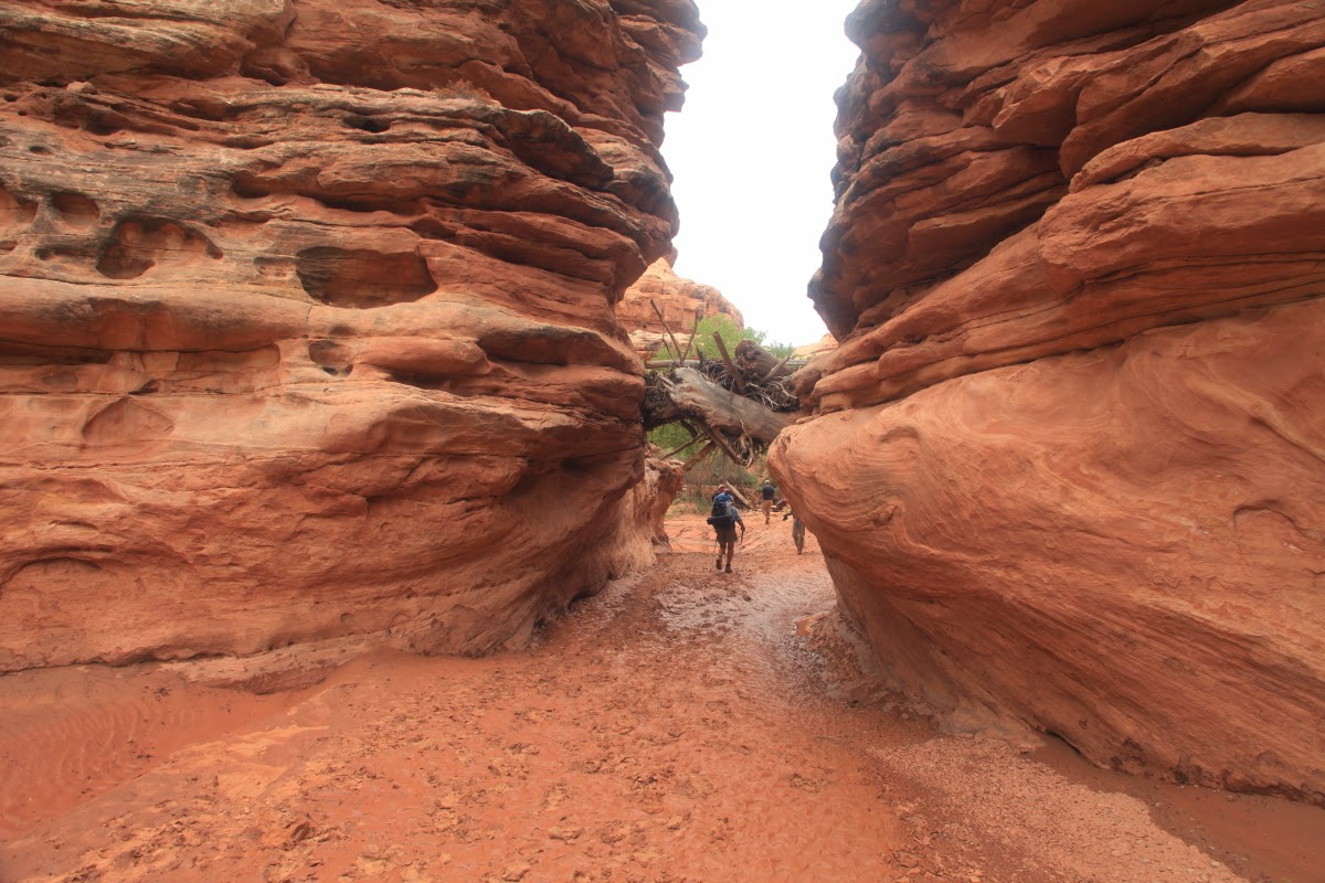 Earthly Musings - My Travel and Geology Blog: Hiking Into Grand Gulch ...