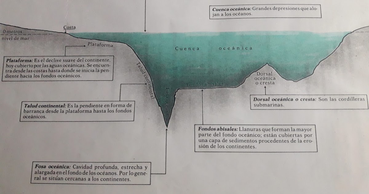 UNIDAD 2. Página 63. Formas del relieve de las tierras sumergidas