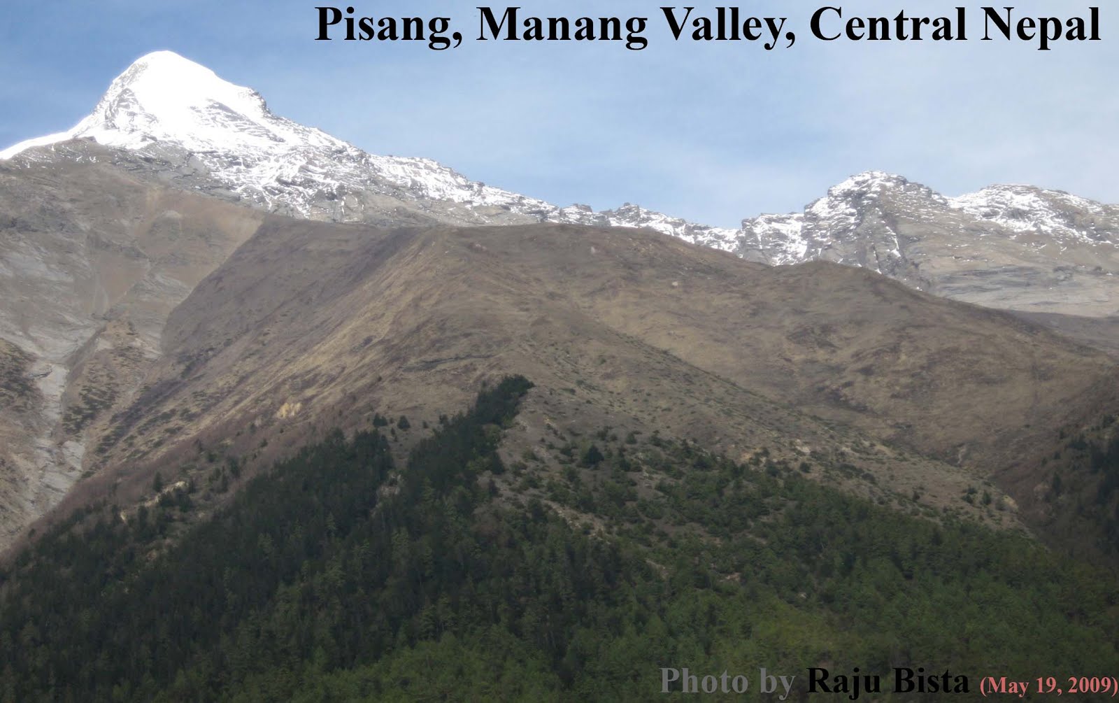 Treeline Inkling: High Altitude Treeline: An Evidence of Climate Warming!