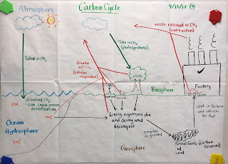 Mrs. Paul - Biology: Biology 2016-2017 Charts/Notes