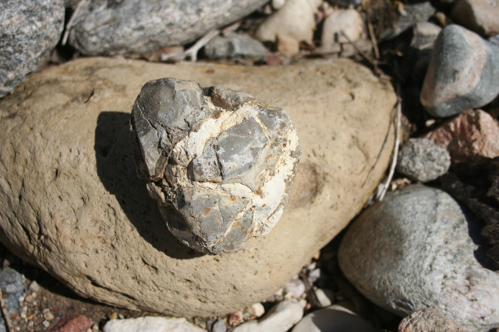 Rocks of Wyoming: Stones found in the Bighorn Mountains of Wyoming