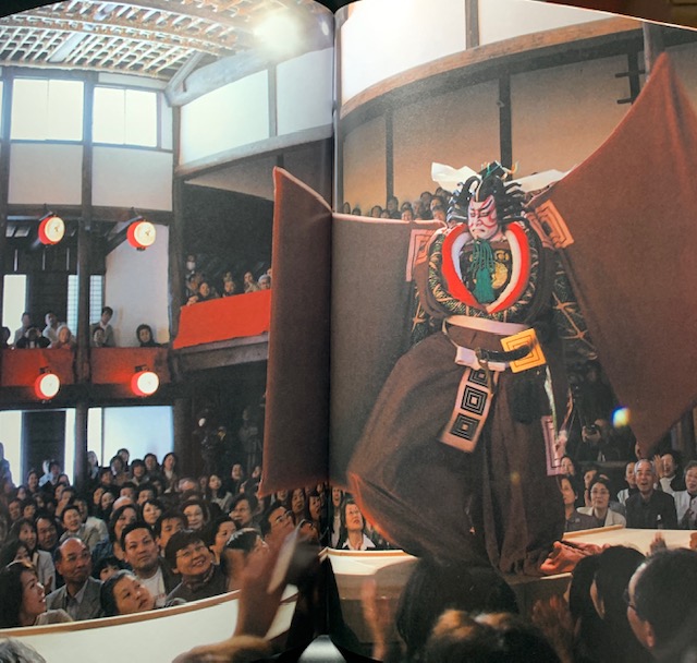 Kabuki Woogie: 14. KABUKI BOOK COVERS: ICHIKAWAWA EBIZO: NARITAYA NO ...