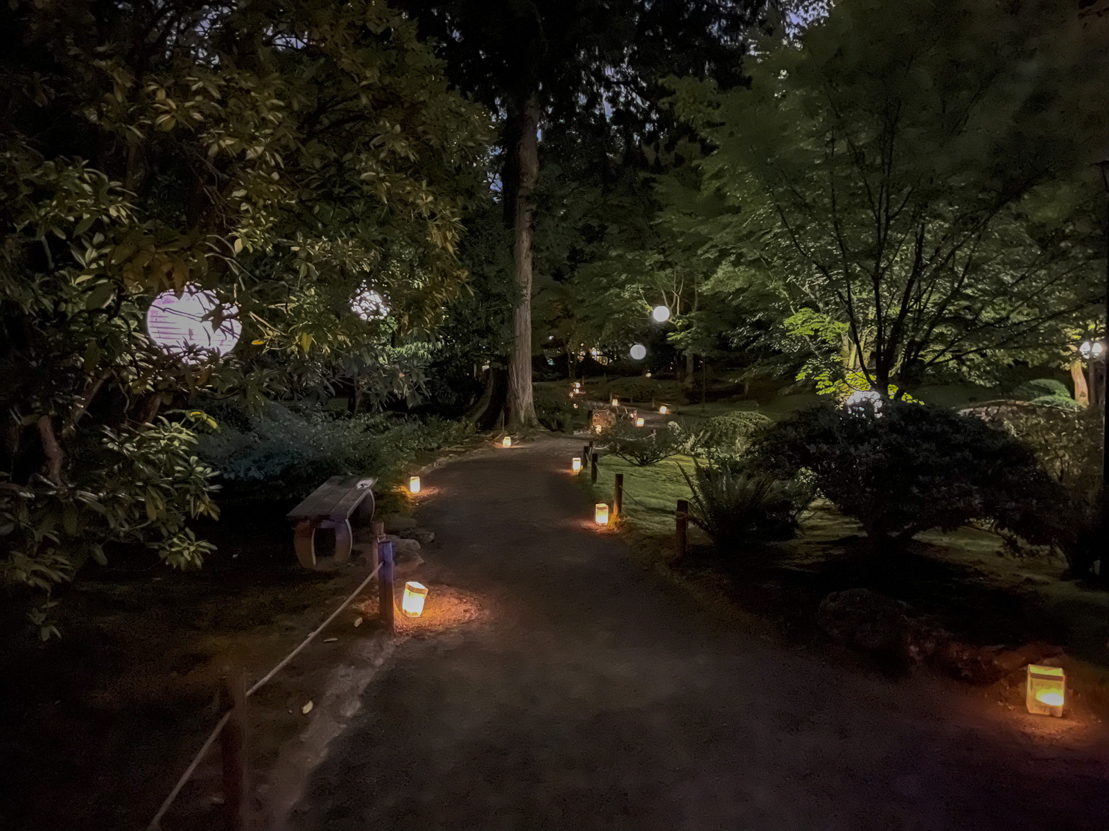 Seattle Japanese Garden Community Blog