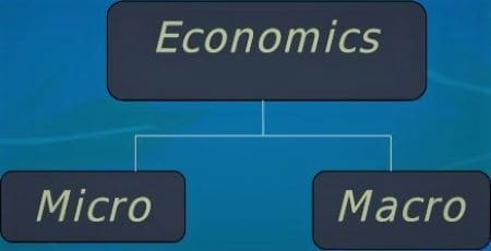 Difference between Microeconomics and Macroeconomics - Economist
