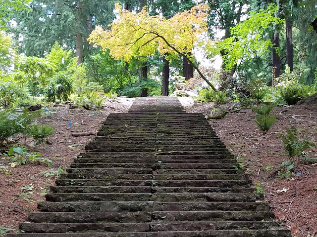 Dave Goes Outside: Portland Stairs Quest 2 - Washington Park