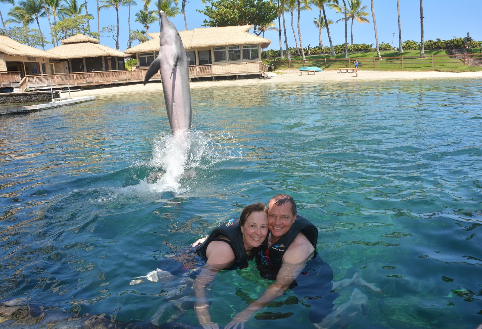 Trying to Stay Calm!: Dolphin Quest Review...