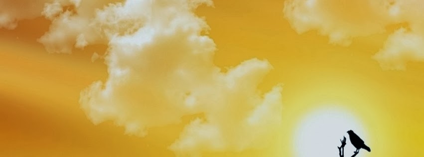 Best collection of yellow flower facebook cover photo ~ Charming ...