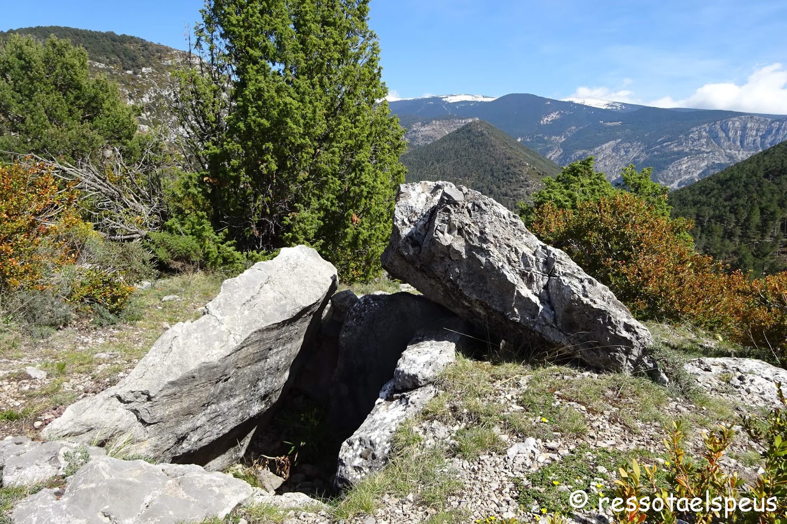 res sota els peus: Ruta circular al roc de Galliner, a la muntanya d'Alinyà