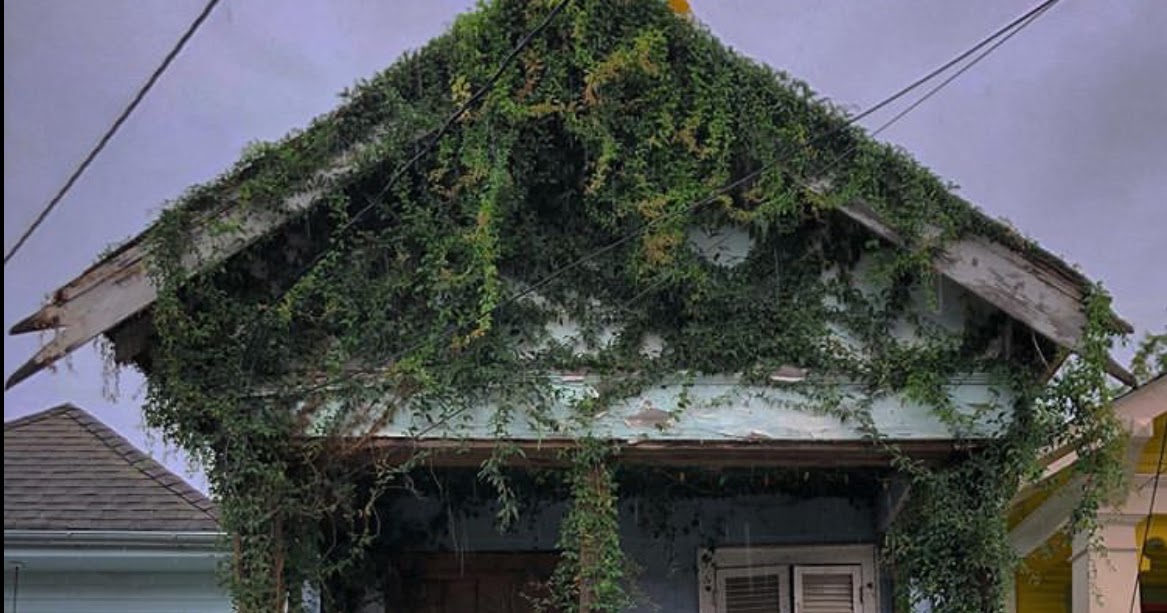 Dragonfly's Poetry & Prolixity: Throwback Thursday- Indigo Poem