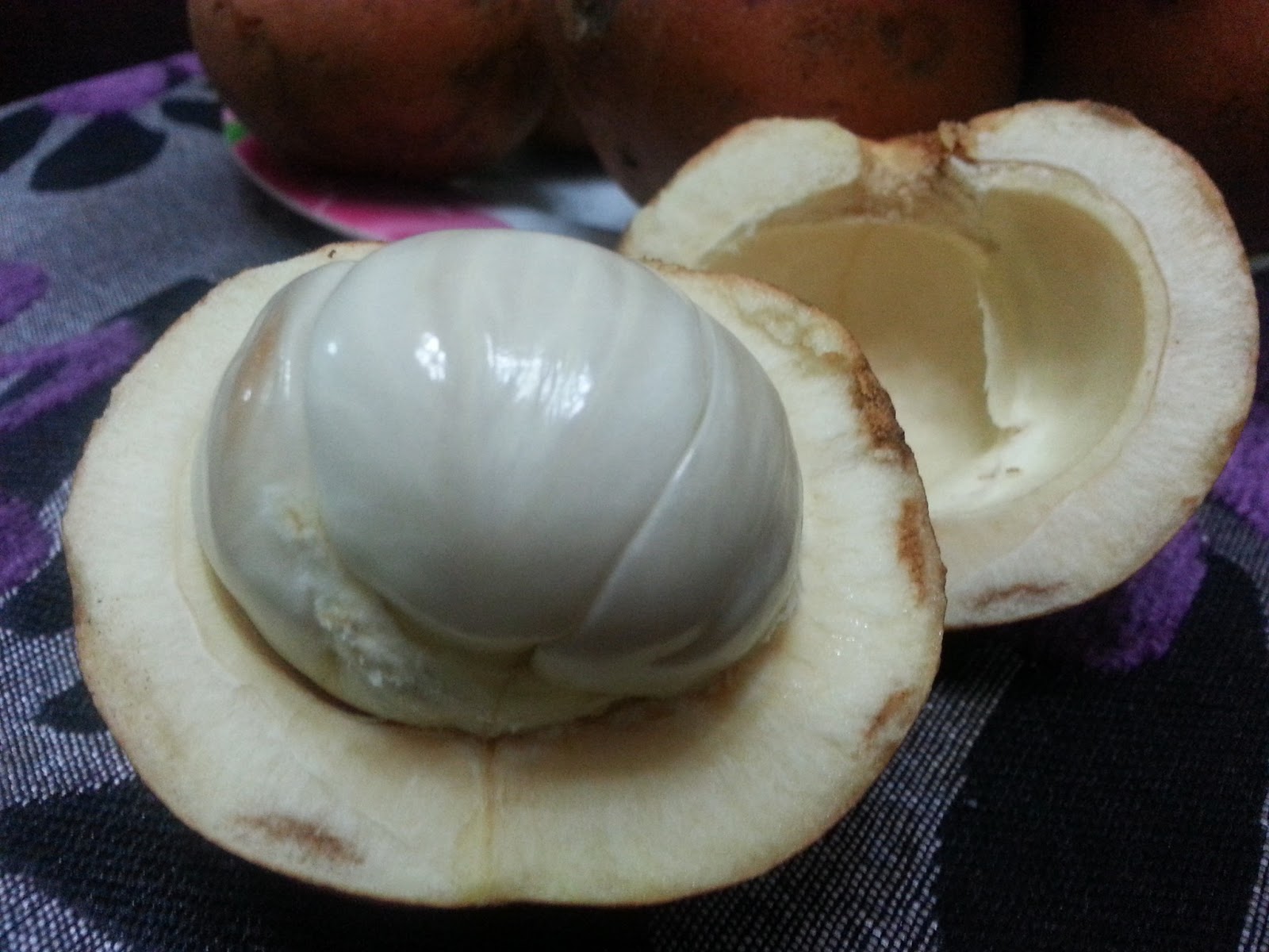 Ini La Buah Tampoi... ~ SURIA AMANDA
