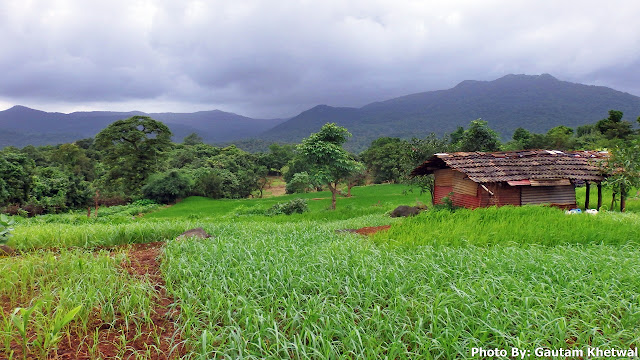 Yeoor Hills, SGNP, Thane