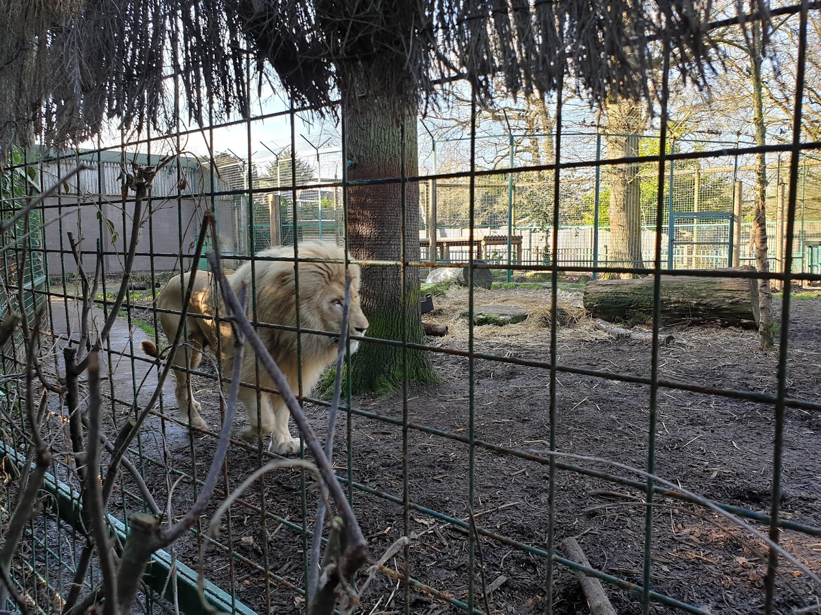 What we thought of the Paradise Wildlife Park
