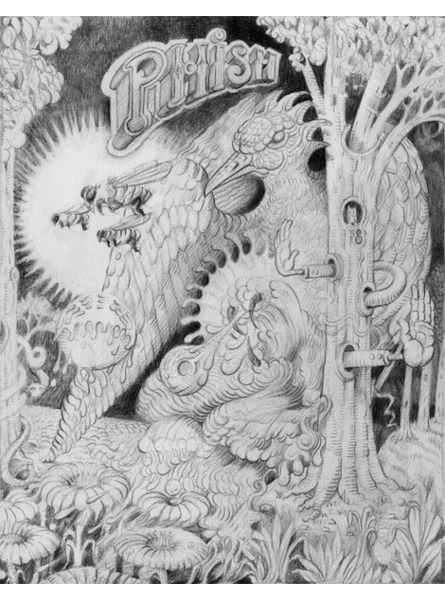 INSIDE THE ROCK POSTER FRAME BLOG: Tonight's Phish Poster by David ...