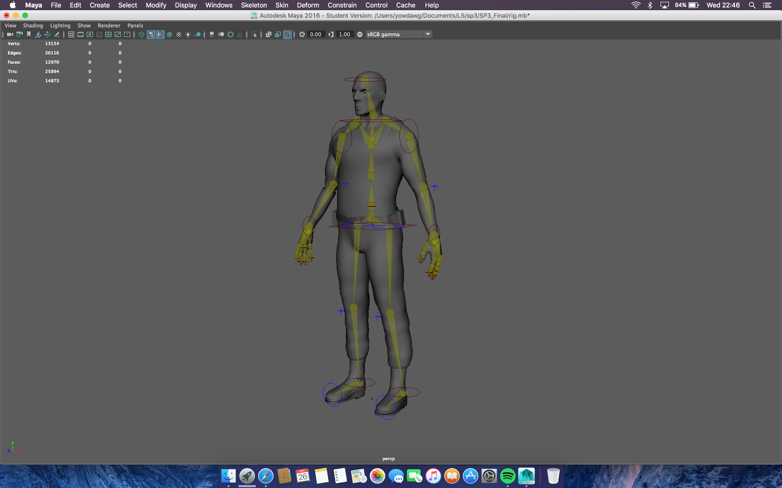 Pratyush Bhadola work: Rigging using Humanik in Maya