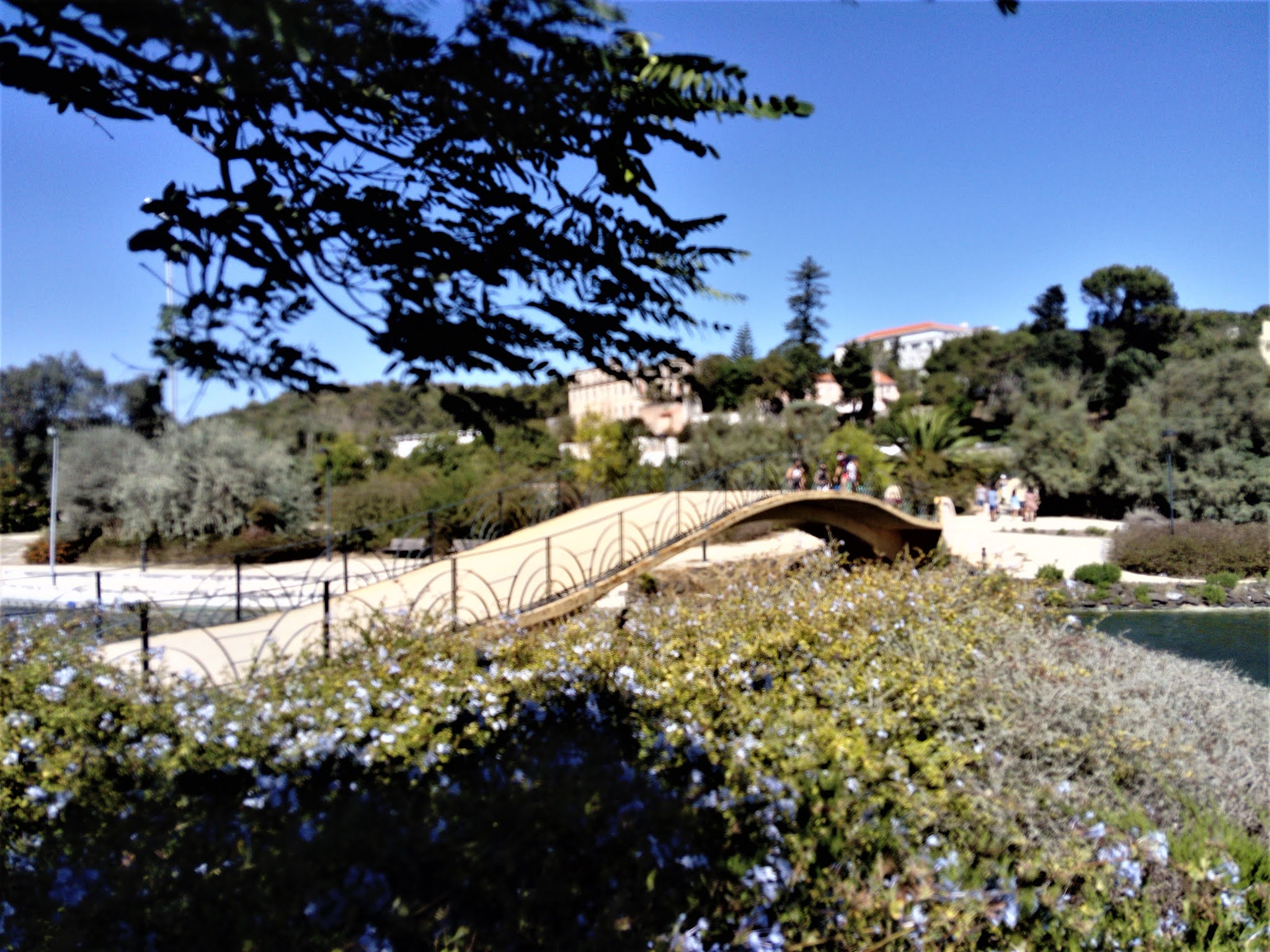 Ecos e reflexos : Parque Urbano do Jamor