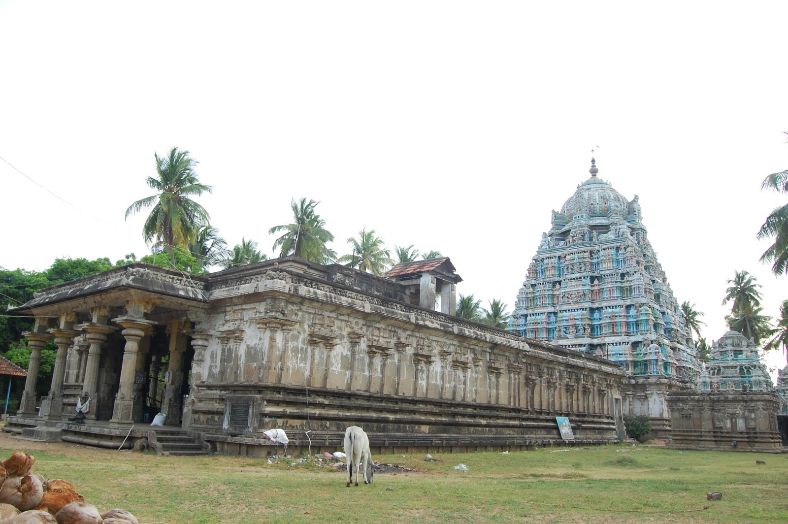 Tamilnadu Tourism: Thirupunavasal Siva Temple, Pudukottai