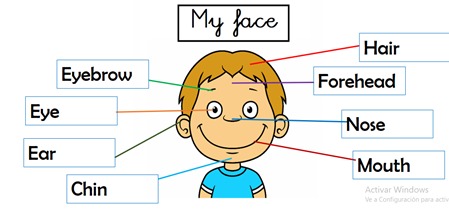 INGLÉS: MY FACE