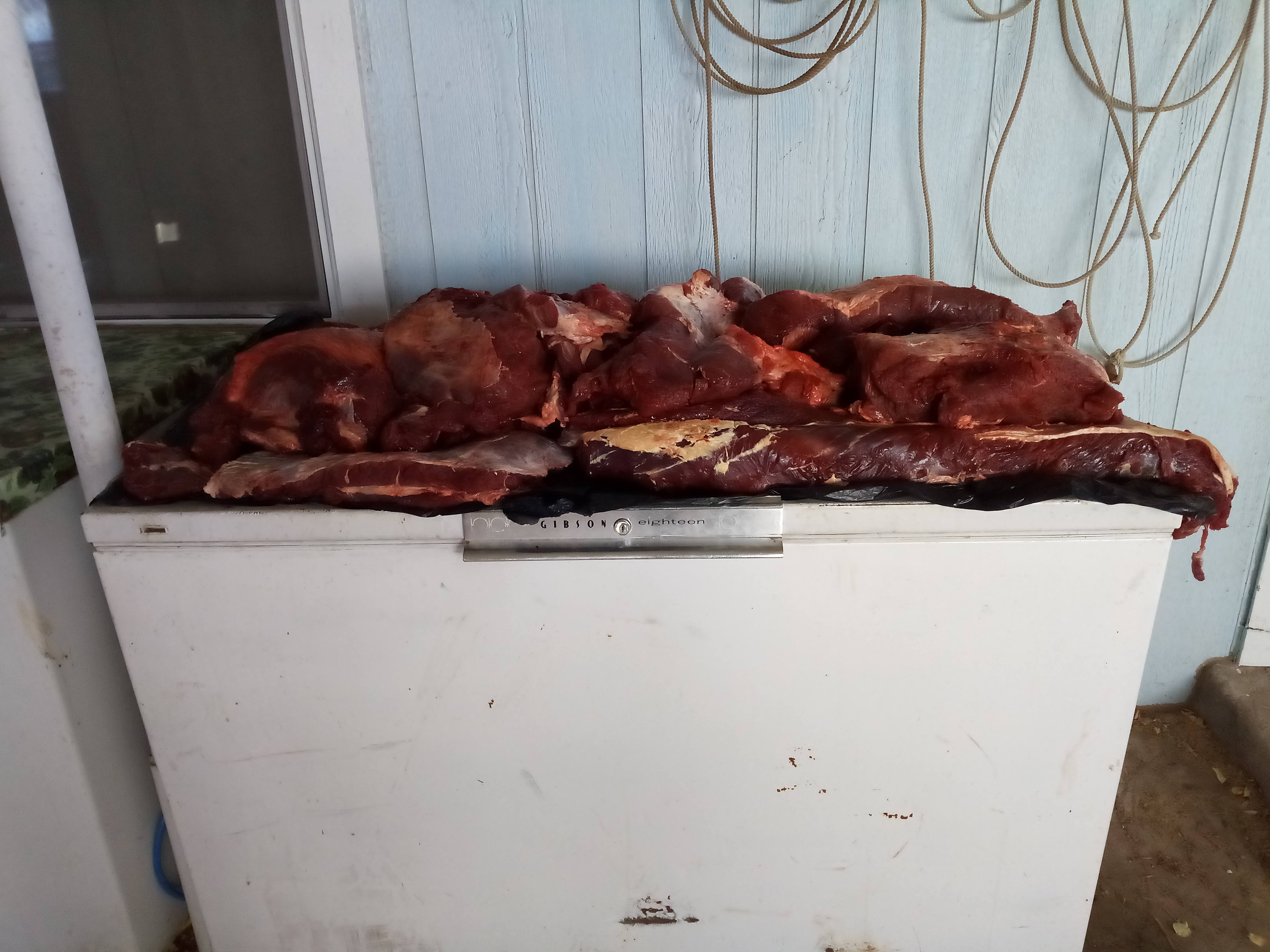 Going Country: Boo! Time To Butcher a Bull!