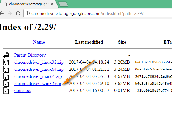 Selenium By Arun Executing Selenium 2 Automation Scripts On Chrome Browser 0275
