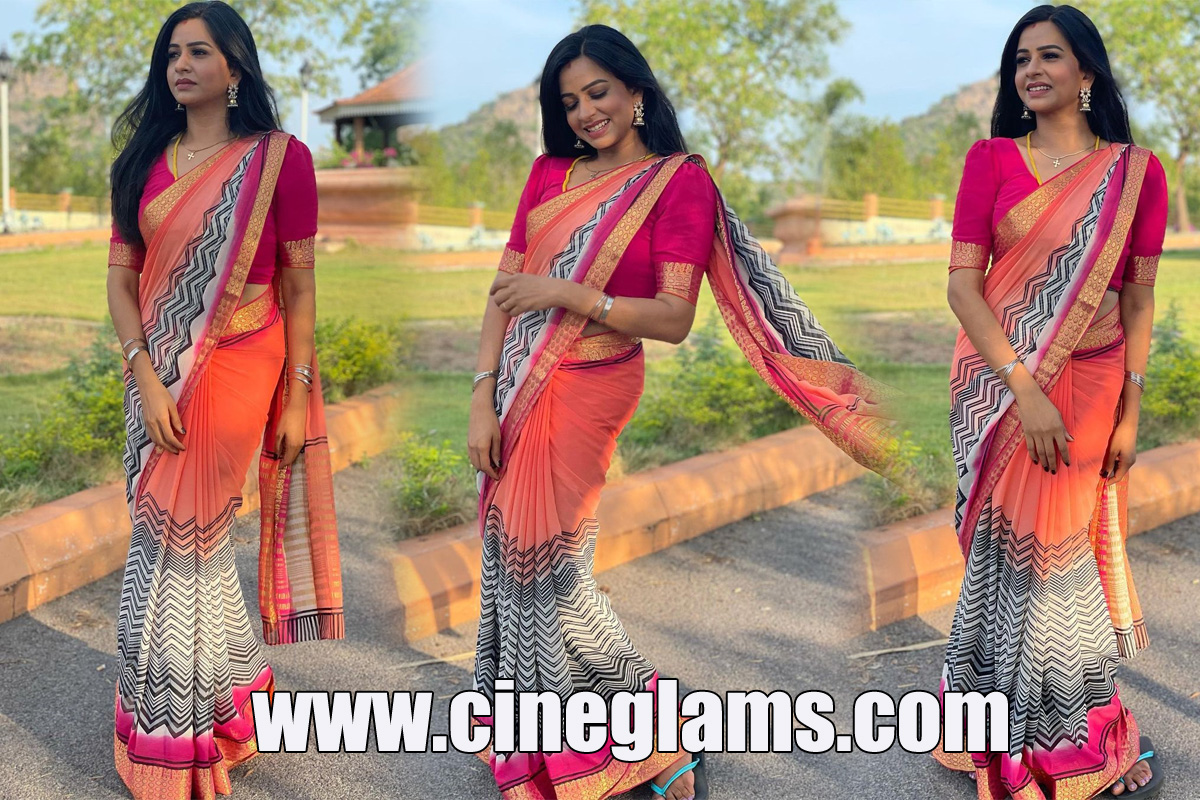 Actress and model Divya Ganesh in saree Pics