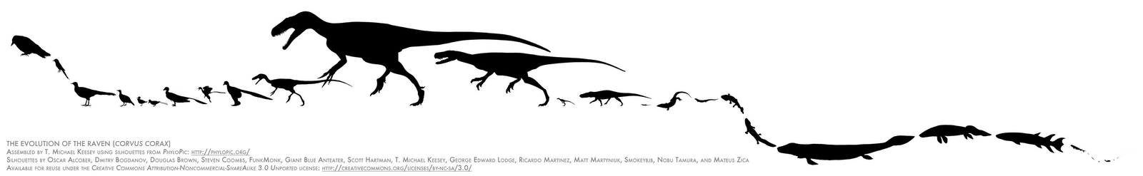 ART Evolved: Life's Time Capsule: The Feathered Dinosaur Gallery