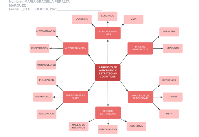 Mapa Conceptual De Estrategias Cognitivas