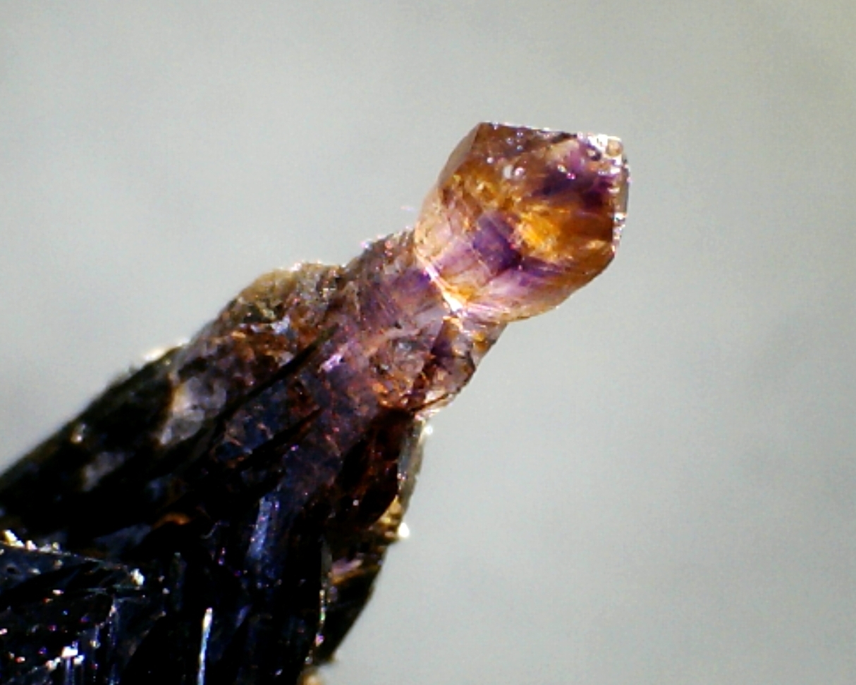 Rockhounding the Rockies: Goethite at Lake George