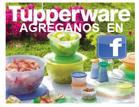 ARMAND DUPREE / FULLER COSMETICS: ARMAND DUPREE / FULLER DE MEXICO ...