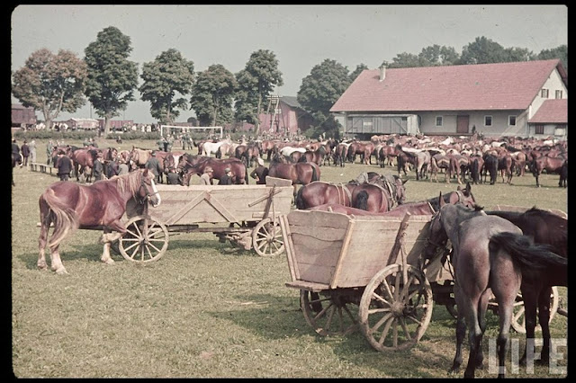 Color Photos of the Third Reich Agriculture in Mecklenburg, Germany ...