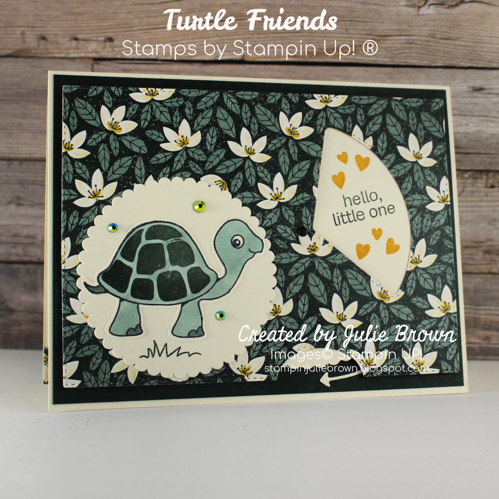 Turtle Friends Interactive card! - Julie's Creative Stamping