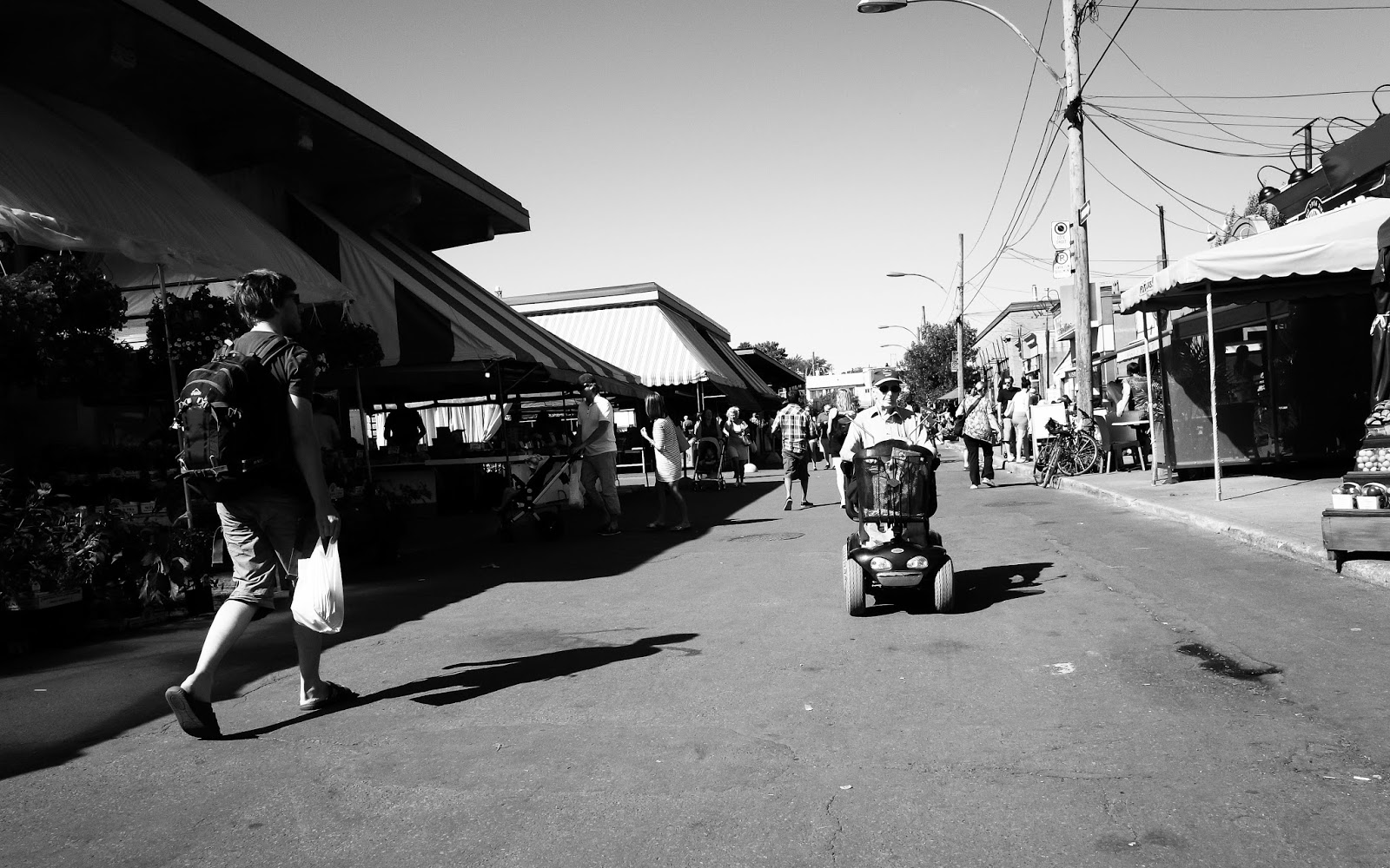 Photography by Tony Vincelli