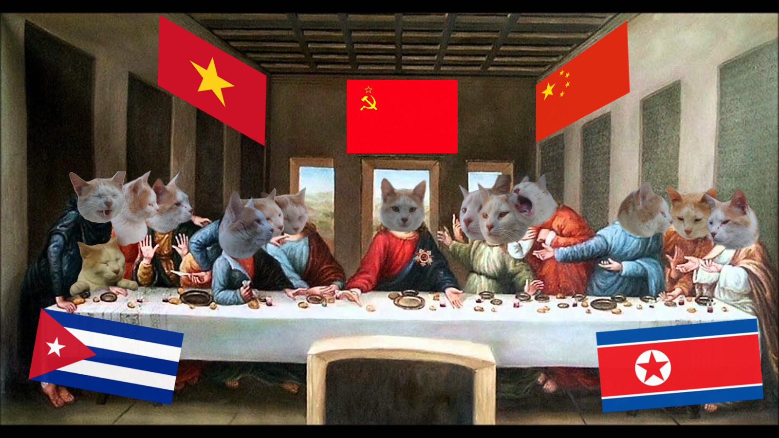 Michipedia: Tipos de michis