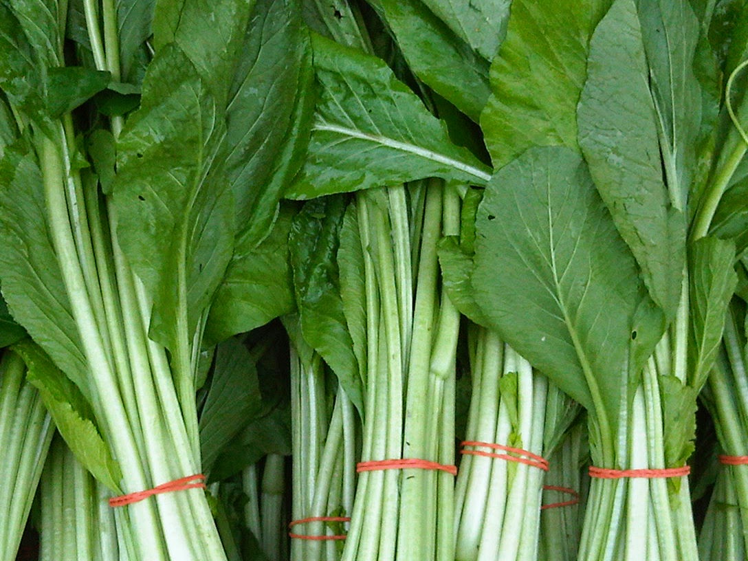 Sayur Sawi Hijau Kualitas Terbaik | TOKO SAYUR ONLINE