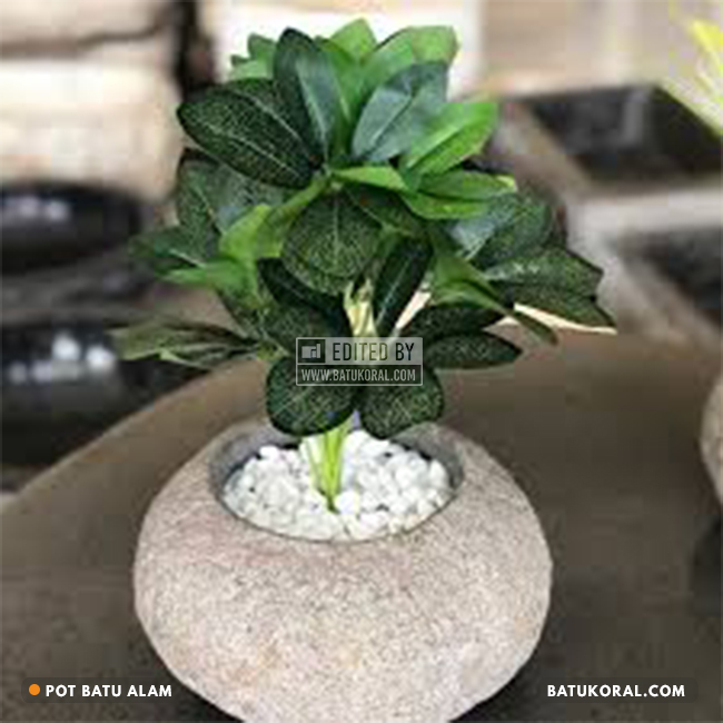 Maksimalkan Tampilan Tanaman Hiasmu Dengan Pot Dari Batu Kali ~ JUAL ...